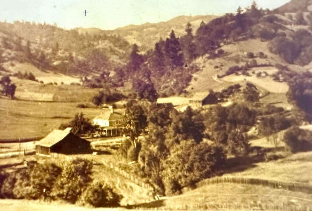 About The Land - Whispertree