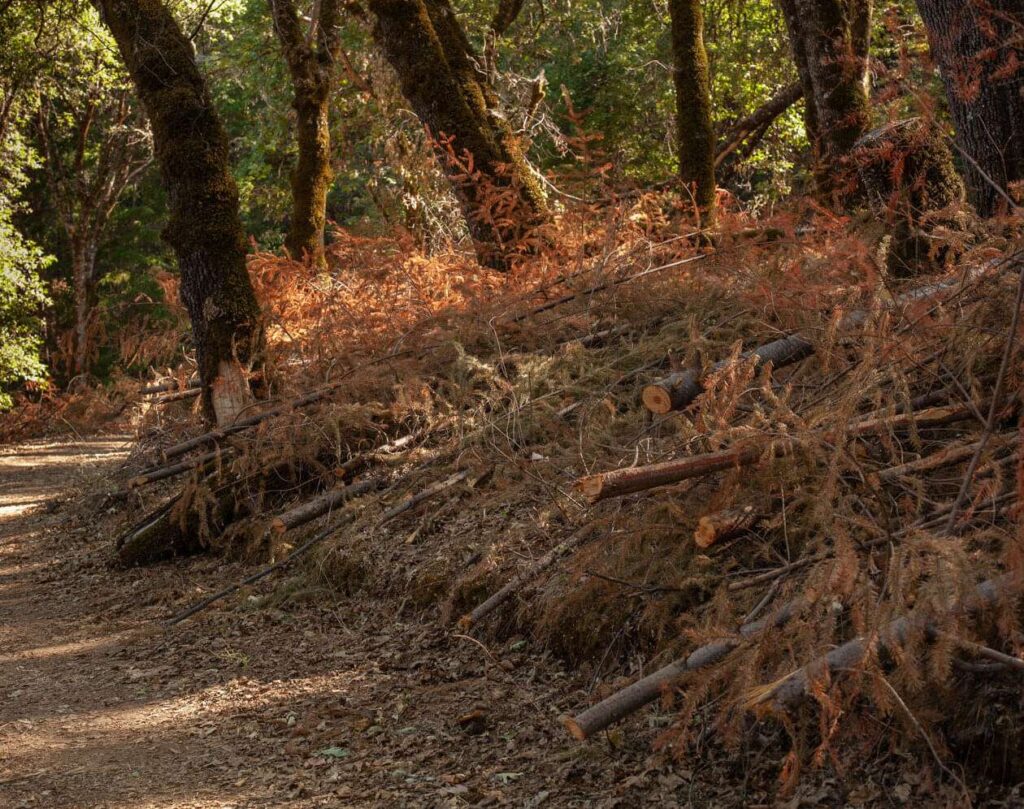 About The Land - Whispertree