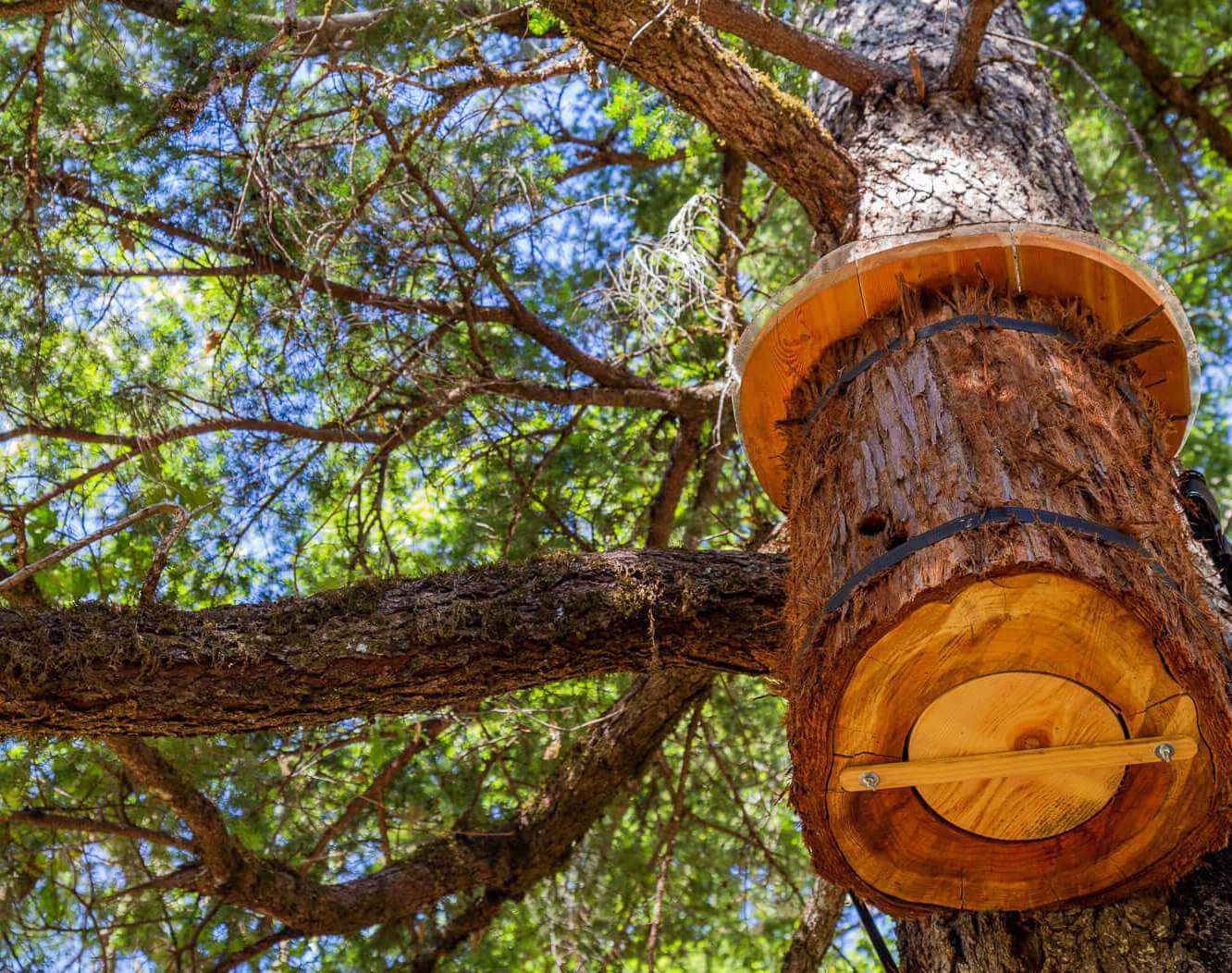 About The Land - Whispertree